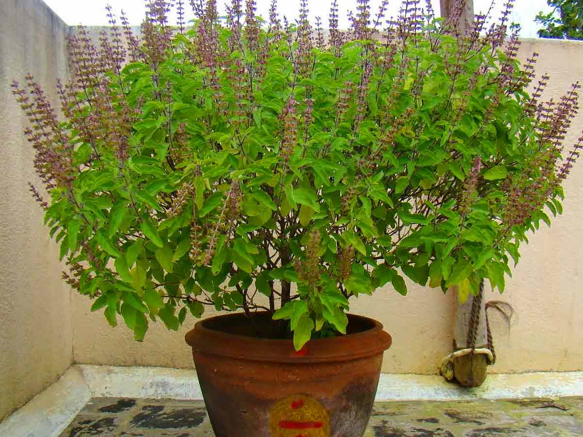 Udit Arora - Author - Shortpedia Voices: A Community For Explorers